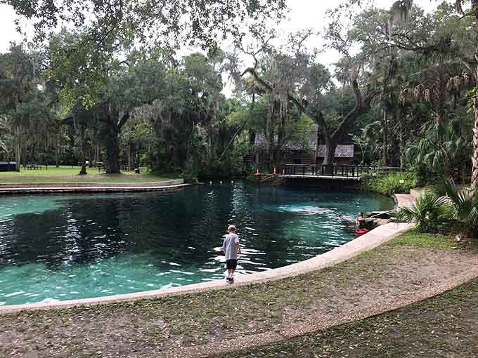 The limestone edges and crystal waters create a natural infinity pool effect that makes you wonder why anyone bothers with concrete and chlorine.