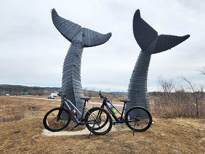 Cyclists find the perfect pit stop at Vermont's famous whale tails, a surreal backdrop for two-wheeled adventures.