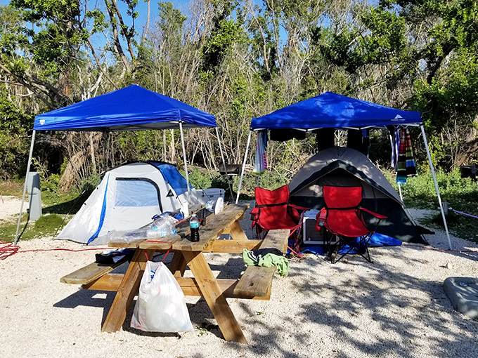 Camping doesn't get better than this &ndash; where morning coffee comes with a side of spectacular sunrise views.