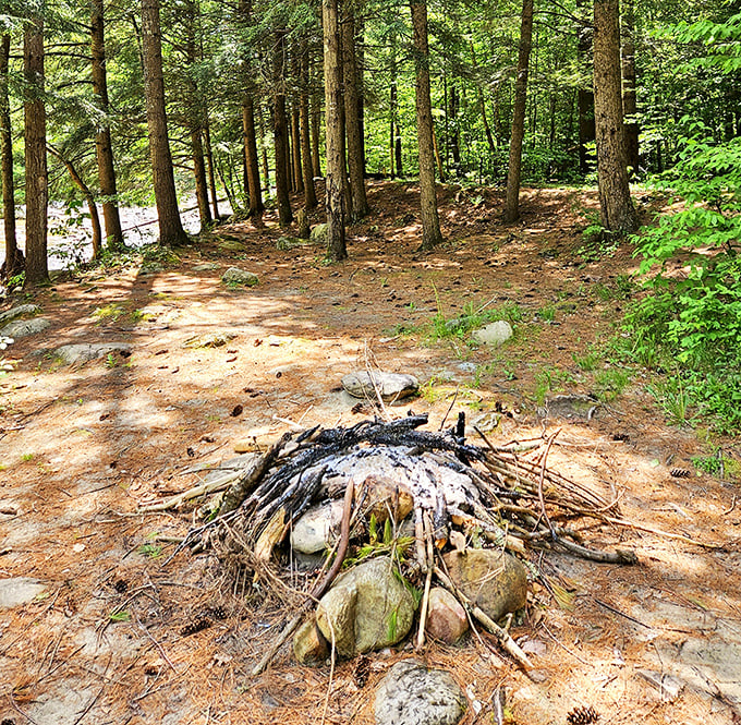 Nature's campground: A forest clearing offers the perfect spot for a trail break, complete with a rustic fire ring for wilderness storytelling.