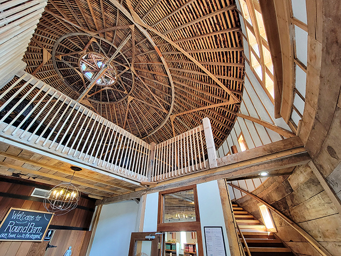 Architectural marvel: Looking up reveals the barn's breathtaking wooden dome, a spiral of craftsmanship that makes geometry teachers weep with joy.