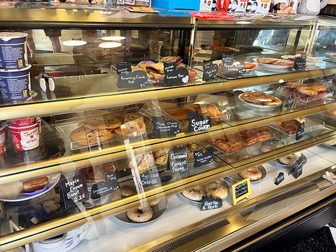 The pastry case &ndash; a glass-fronted gallery of temptation where decisions become deliciously difficult.