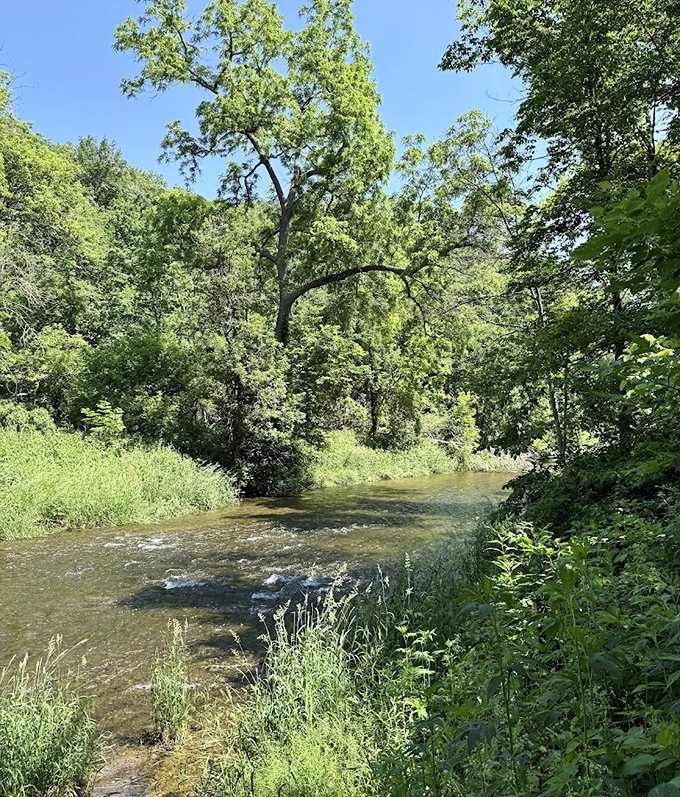 The Root River meanders through the park, offering above-ground beauty that perfectly complements the subterranean spectacle below.