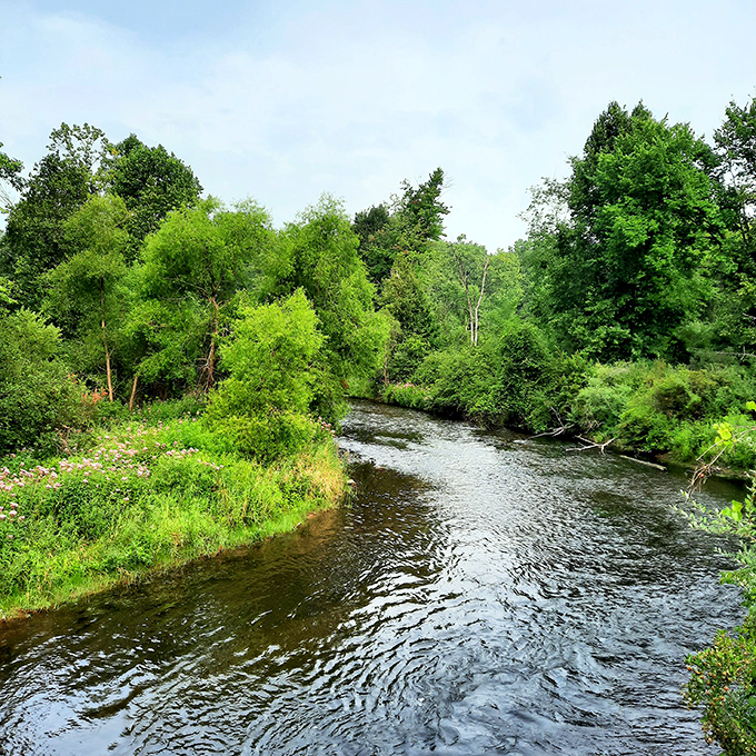 The Chippewa River doesn't rush through the park, it meanders, as if even water knows this is a place worth lingering in.