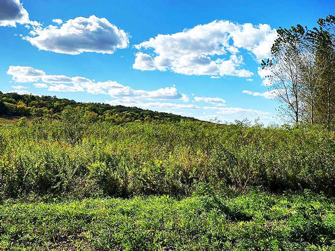 Nature's palette on full display &ndash; where every shade of green is competing for "Best Supporting Color in a Landscape."