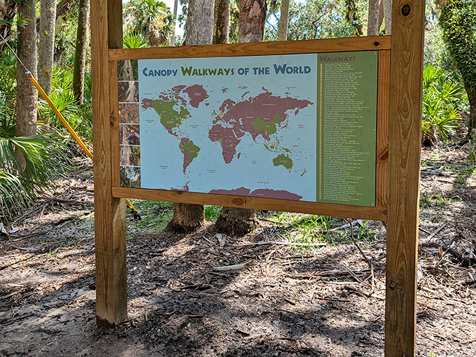 This informational sign reveals that Myakka's walkway has impressive company &ndash; part of a global family of canopy experiences spanning six continents.