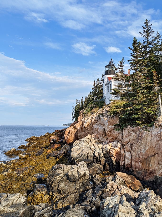 Bass Harbor Lighthouse stands sentinel on these pink granite cliffs, guiding mariners safely home for generations.