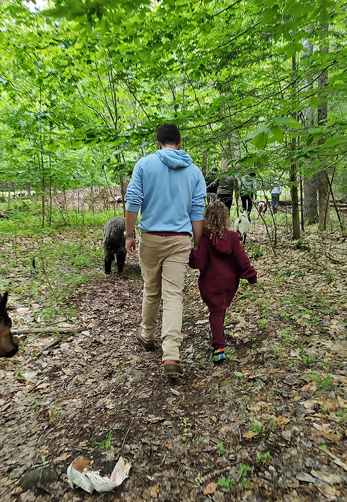 Parent and child share a woodland walking adventure, creating memories while furry companions explore nearby.