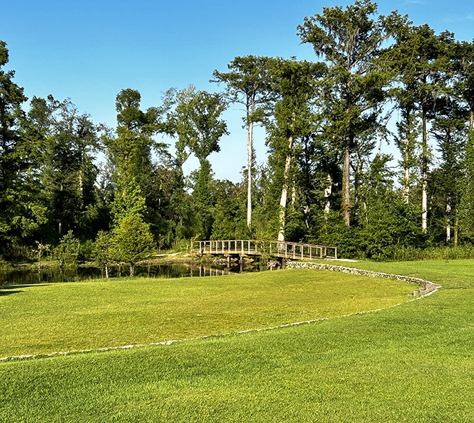 Now this is a moment of pure zen. A lovely wooden bridge crosses the pond in this beautiful, sun-drenched park setting.