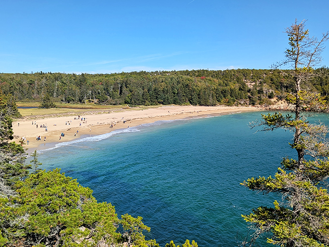 Sandy beach cove nestled between forested hills &ndash; Acadia's perfect blend of ocean and woodland in one frame.