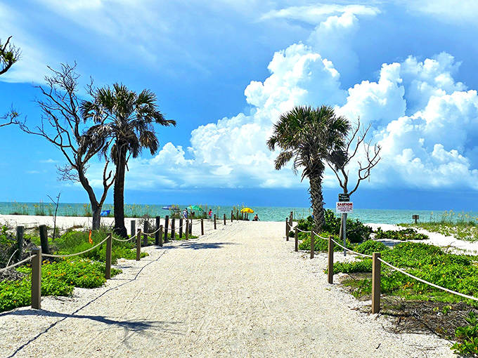 Sand path: The pathway to paradise is lined with swaying palms, leading beach-goers to their own slice of shell-hunting heaven.