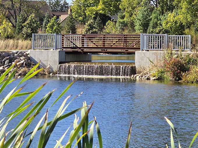 Water cascades gently over the small waterfall, creating nature's soundtrack and a peaceful gathering spot for contemplative park visitors.