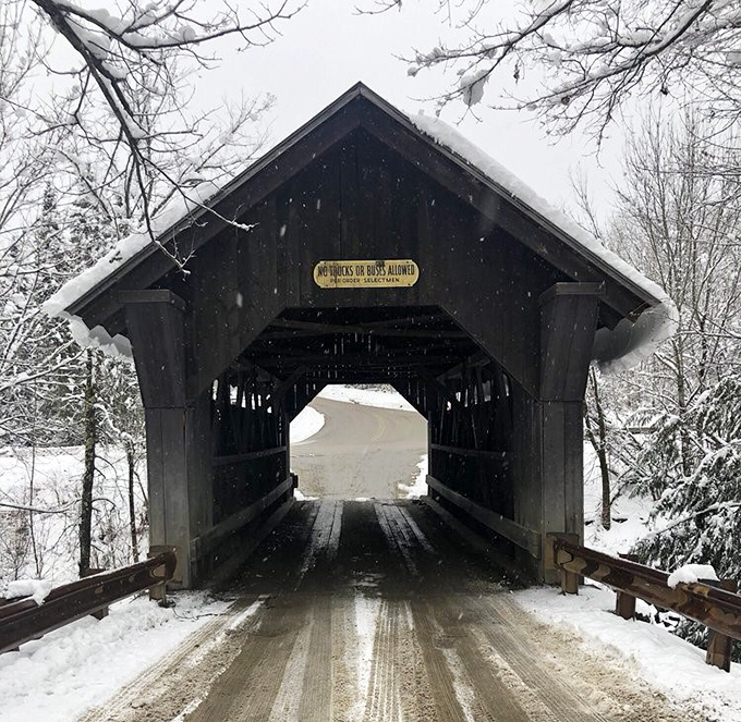 Winter transforms Emily's domain into a snow-covered passage between worlds, perhaps when her presence is felt most keenly.
