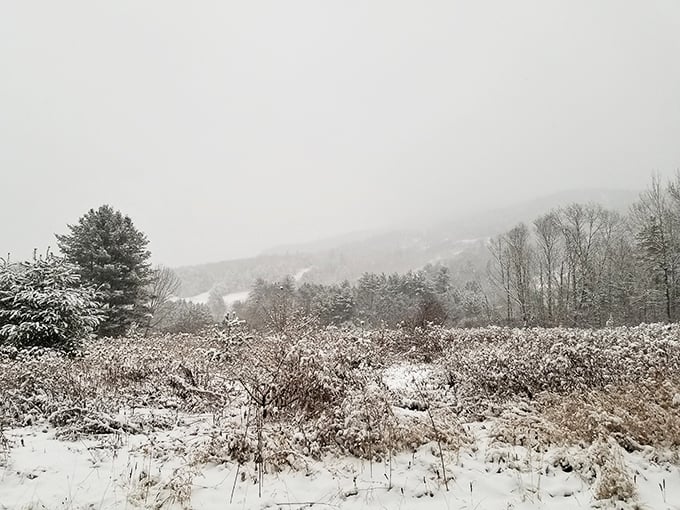 Winter's quiet blanket: Snow transforms Ascutney into a monochromatic masterpiece where silence speaks volumes and footprints tell stories.