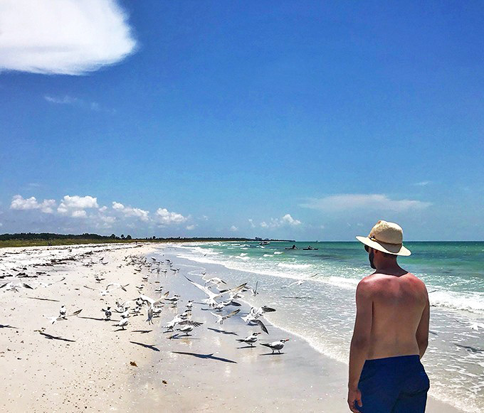 Beachcomber's paradise: A visitor surveys the shoreline where shelling opportunities abound and shore birds create a lively welcoming committee.