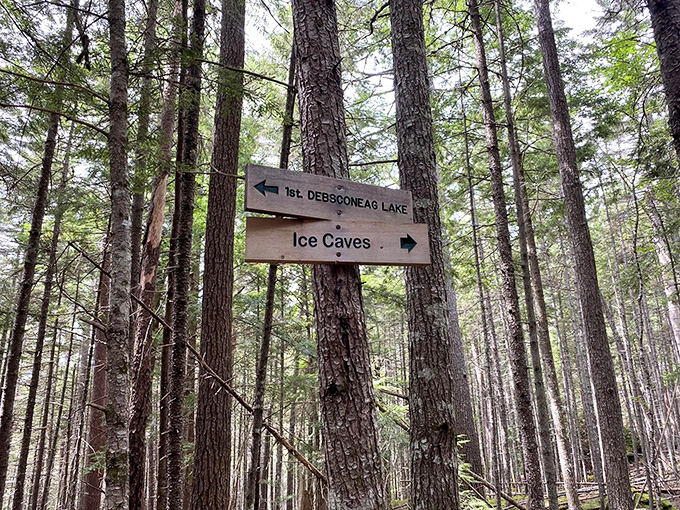 Follow the signs or risk missing one of Maine's most spectacular hidden treasures &ndash; the trail is well-marked but easily overlooked.
