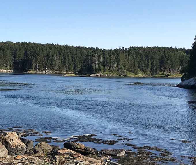 The tidal pools and seaweed-covered rocks at low tide reveal the constantly changing nature of Maine's coast.