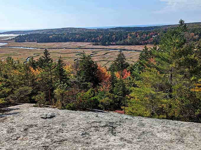 Phippsburg's autumn marshlands glow golden in the afternoon light, showcasing the area's natural beauty.