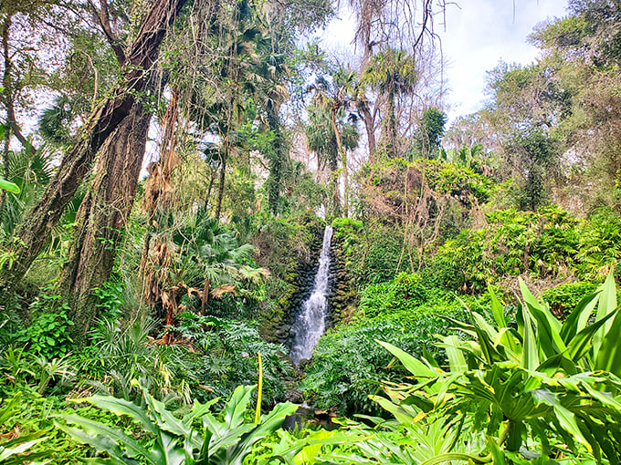 A cascading waterfall at Rainbow Springs creates a peaceful soundtrack for visitors exploring this natural wonder that's been attracting people for thousands of years.