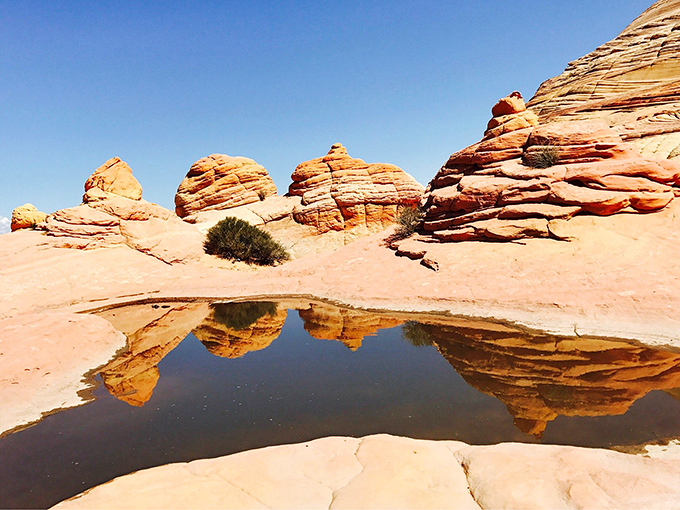 After a desert rain, temporary pools reflect White Pocket's unique rock formations, doubling the visual impact of this otherworldly landscape.