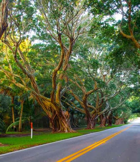 12 mile drive florida ftr