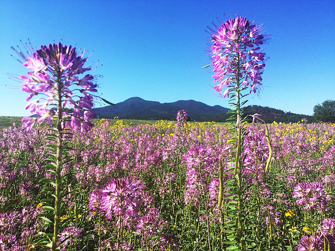 12 Small Towns Arizona 2