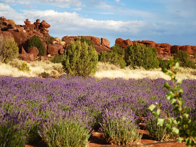 12 Small Towns Arizona 5