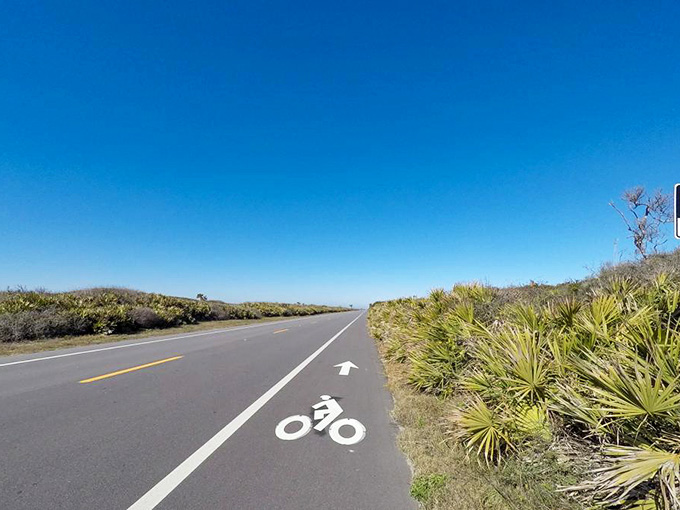 A1A South Ponte Vedra Beach features bike lanes that let you slow down and really experience the coastal magic.