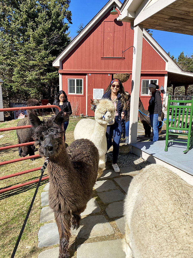 The ultimate meet-and-greet where the stars are fuzzy, the autographs are slobbery, and everyone leaves smiling.