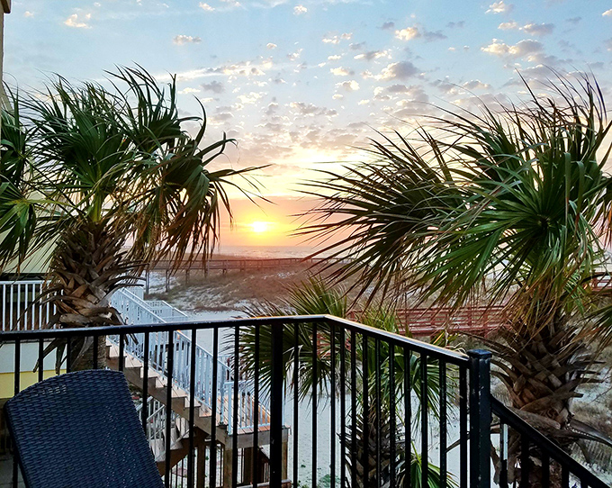 Room with a view? More like room with THE view &ndash; palm trees framing that postcard-perfect Gulf panorama.