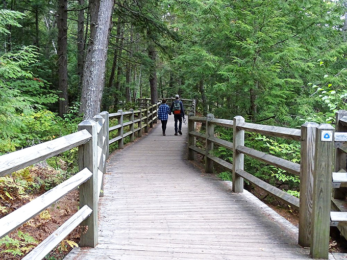 The wooden path invites exploration through ancient forest, like following breadcrumbs into a fairy tale setting.