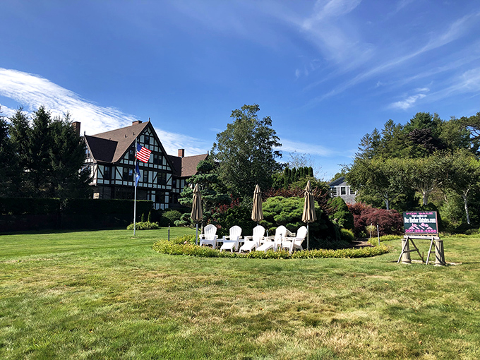 The harbor's protective arm reaches into the bay, where visitors gather to watch boats and cruise ships navigate Bar Harbor's waters.