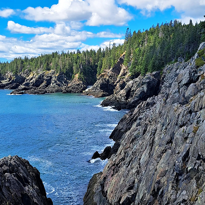 Postcard-perfect: The Bold Coast's signature blue waters crash against ancient rock formations under a sky that seems impossibly vast.