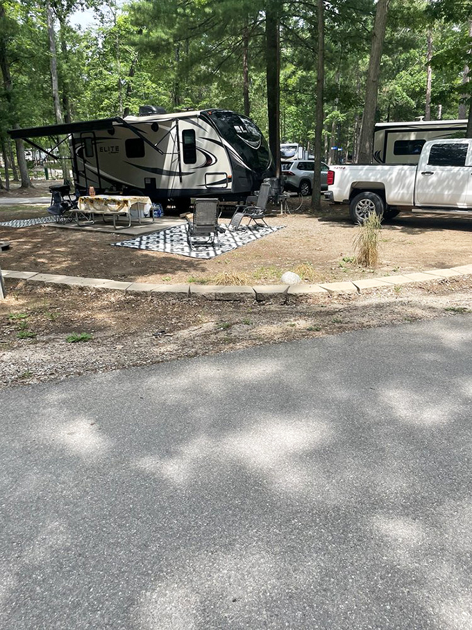 Campsites blend seamlessly into the natural surroundings, creating private outdoor living rooms where memories are made and mosquitoes are battled.