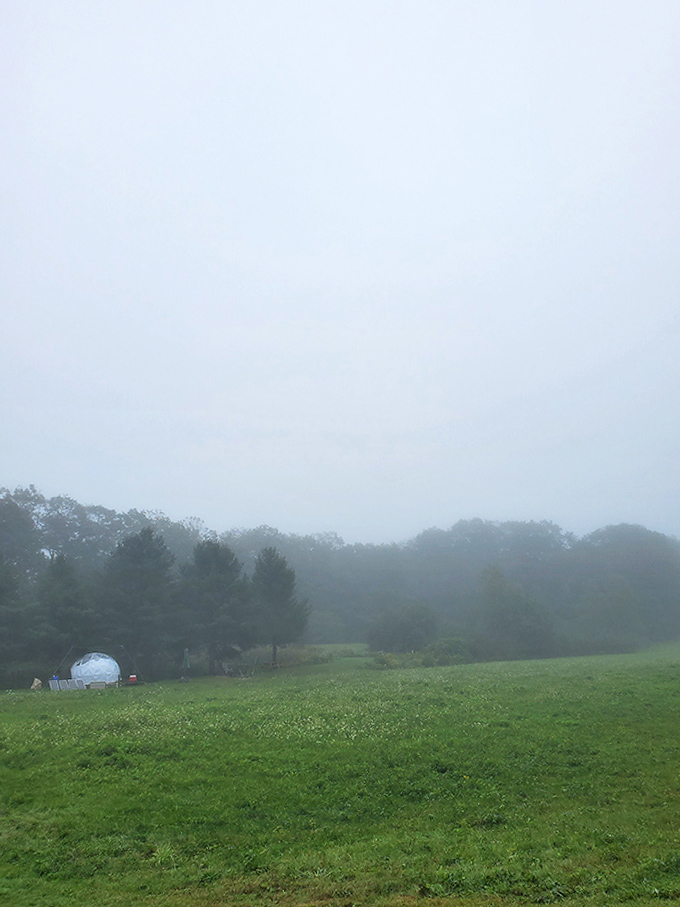 Morning fog rolls across the meadow, leaving the dome looking like it's floating on a cloud.