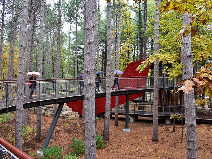 Sunlight filters through autumn leaves, turning this forest boardwalk into a golden pathway that feels almost magical.