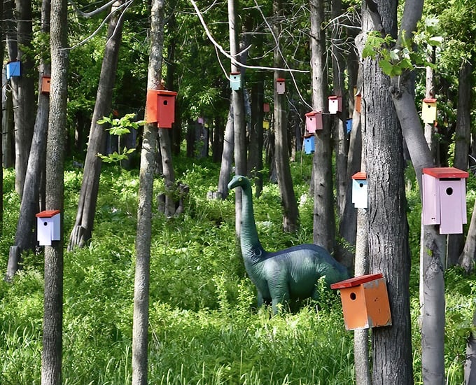 Morning light filters through the trees, illuminating this extraordinary collection of birdhouses that transforms a simple forest into magic.