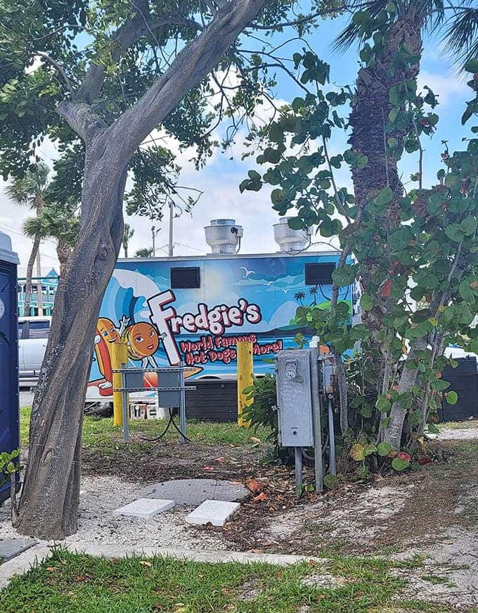 The waterfront setting transforms a simple meal into an experience, proving location matters almost as much as the food.