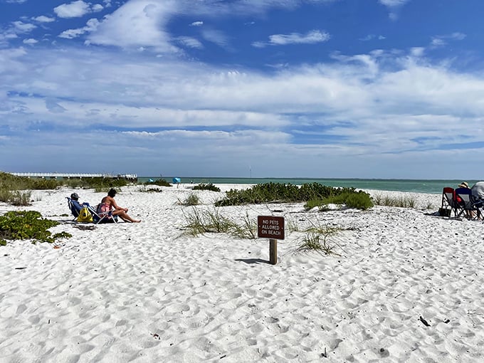Powdery white sand meets gentle Gulf waters at this natural paradise, where beachgoers find their own slice of serenity.