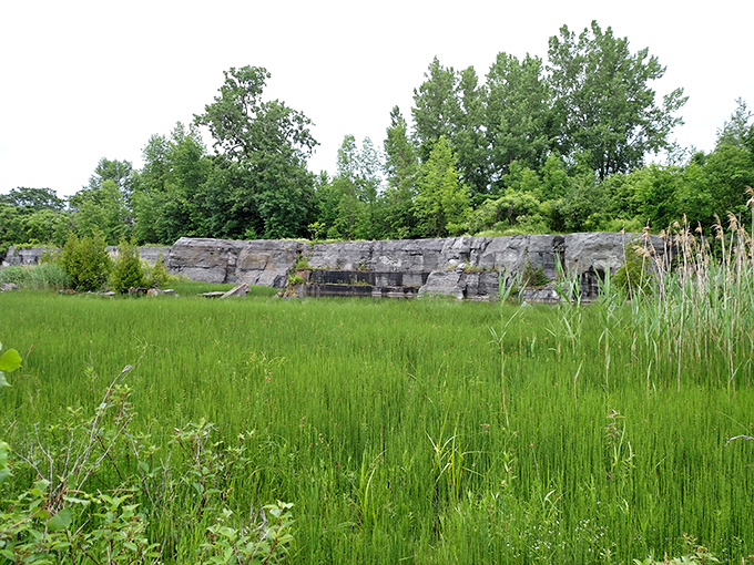 Limestone walls frame verdant wetlands, showcasing nature's remarkable ability to transform industrial spaces.