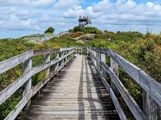From atop Hobe Mountain's observation tower, panoramic views stretch from the Atlantic to Lake Okeechobee.