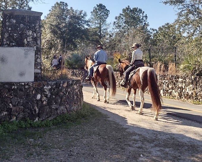 Horseback riders add a touch of Old Florida charm to the modern conservation marvel of the Land Bridge.