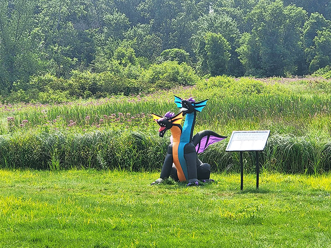 Colorful inflatable dragons add whimsy to the landscape, proving that art doesn't always need to take itself seriously.