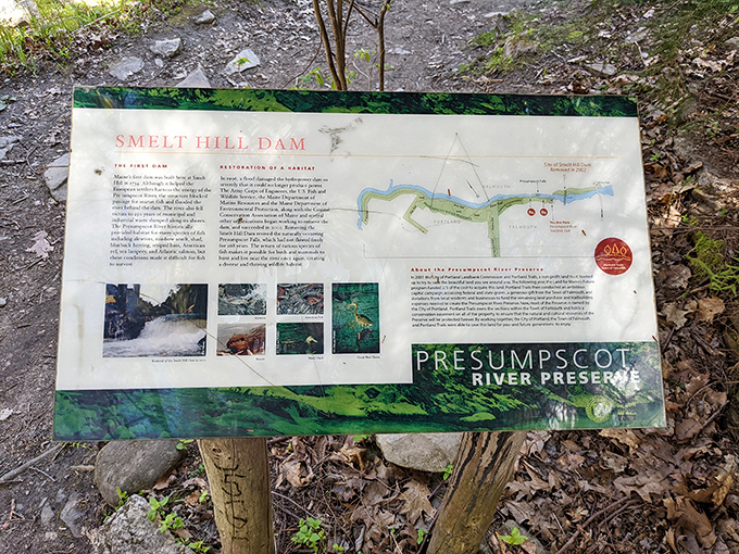 The historic Smelt Hill Dam sign shares the preservation story of this natural Maine treasure.