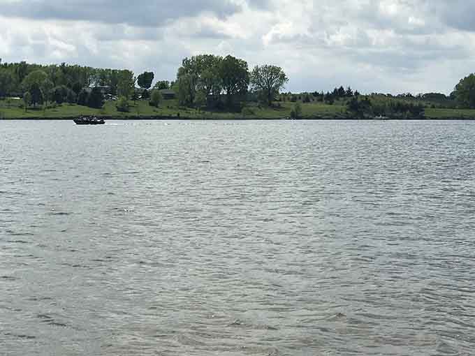 Calm waters and distant shorelines remind you that sometimes the best entertainment is simply watching nature do its thing without any agenda.