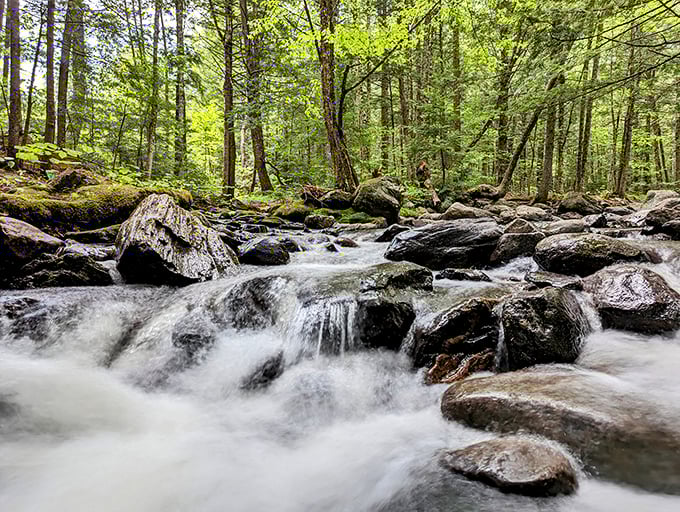 Camping along the Carrabassett: Nature's white noise machine guarantees the deepest sleep you've had since childhood.