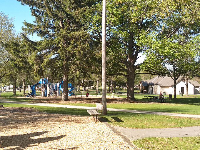 Joannes Park offers shaded picnic spots where generations gather, proving the best family entertainment sometimes requires nothing more than a basket and blanket.