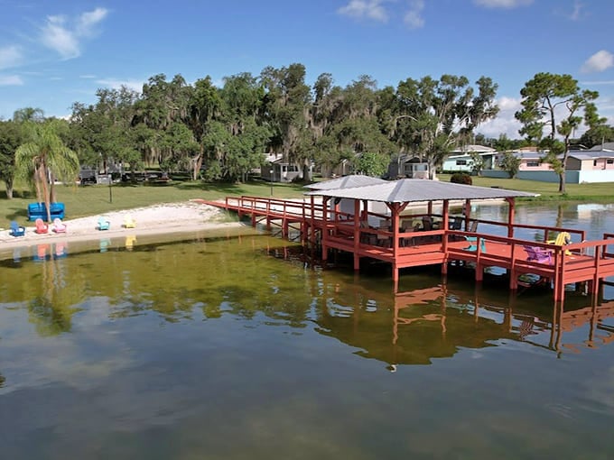 Lakeside living at its finest, where your backyard is basically a nature documentary waiting to happen every morning.