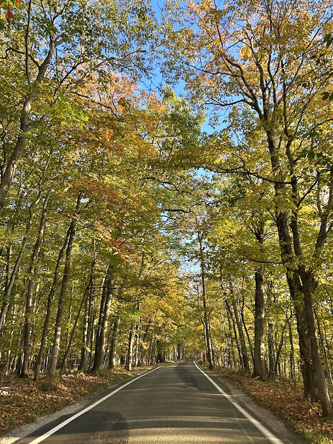 The narrow, winding path of M-119 demands attention while rewarding drivers with views that make every turn worthwhile.