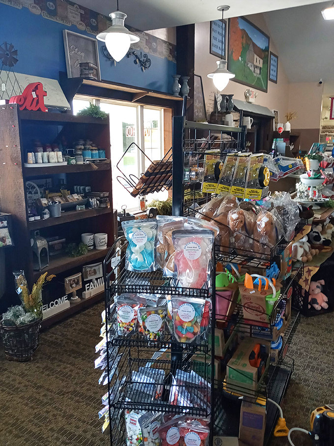 Beyond ice cream, the merchandise corner offers take-home treasures from farm-made treats to cow-themed souvenirs that keep the Moo-Ville magic alive.